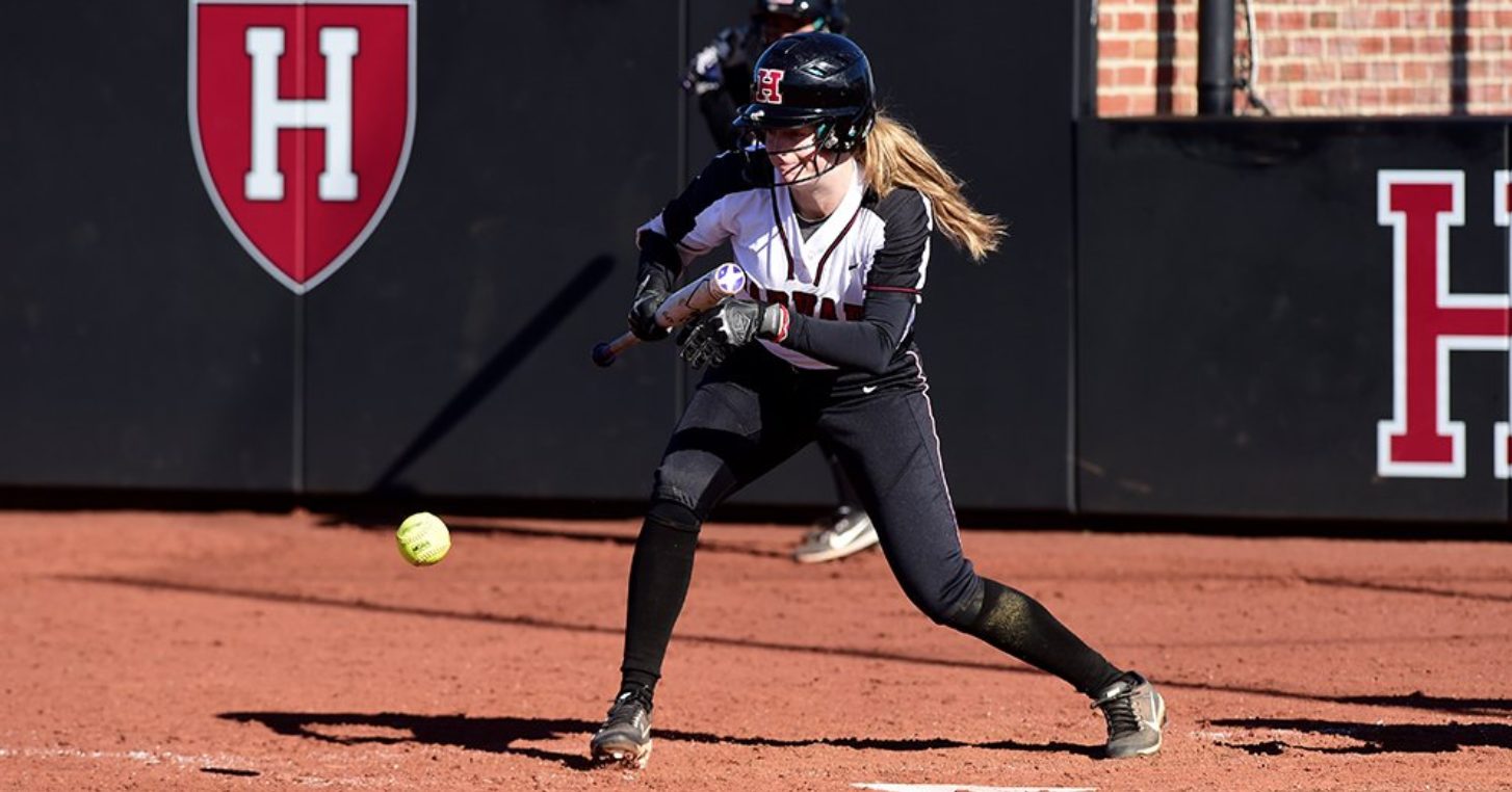 Harvard Softball Player: The Day in the Life of Alissa Hiener, an Ivy ...