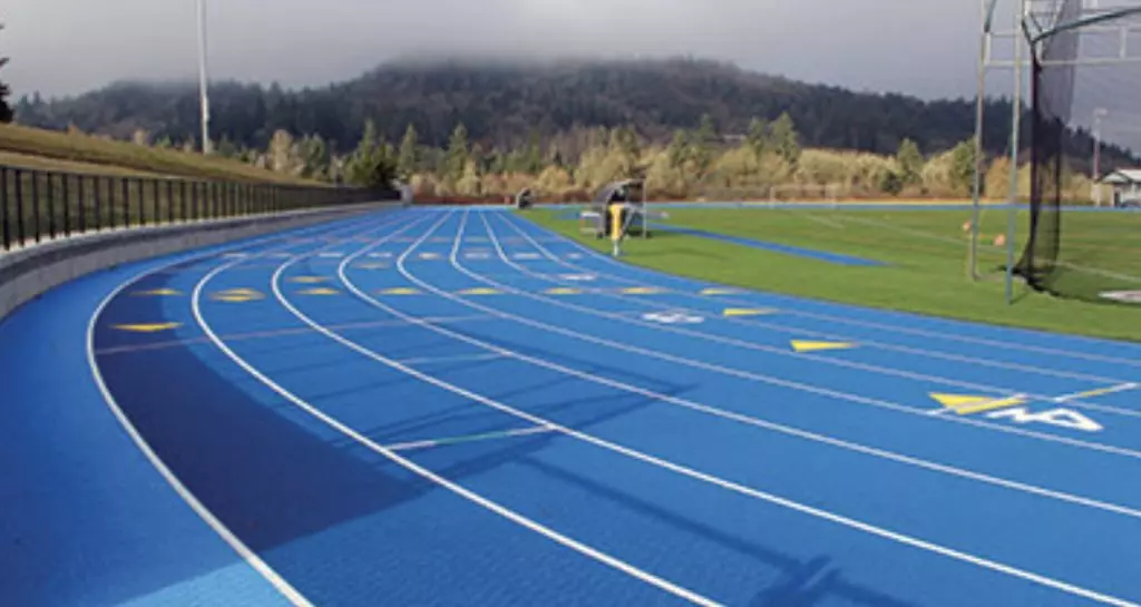 Lane College Cross Country Receives NCAA Sanctions in Response to an ...