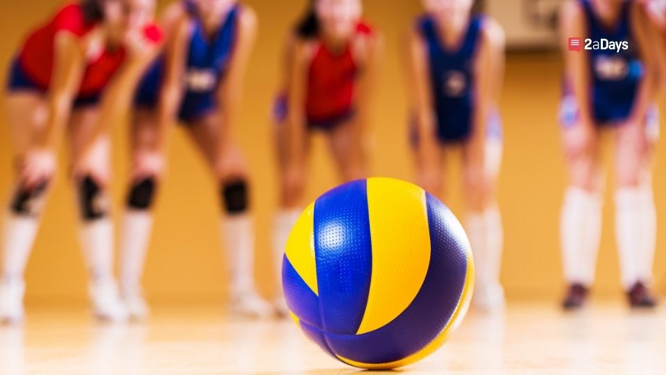 Differences Between DI, DII, and DIII in Volleyball | 2aDays News
