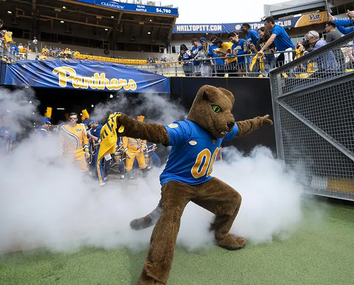 The History Behind 15 ACC Mascots | News | 2aDays News