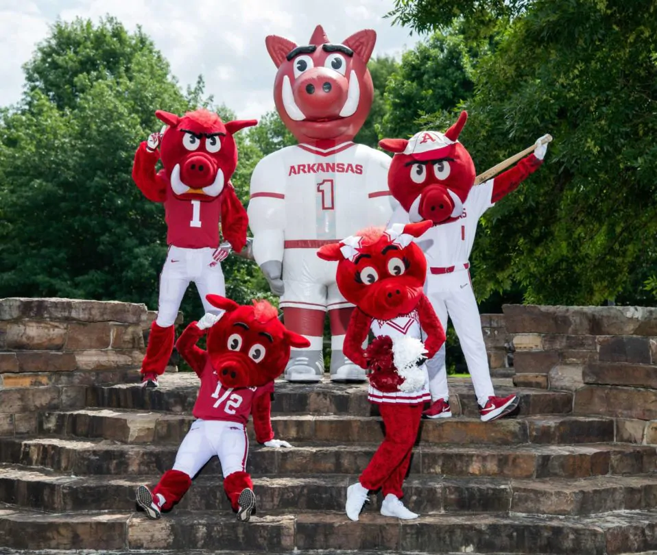 The History of 14 SEC Mascots and Nicknames | News | 2aDays News