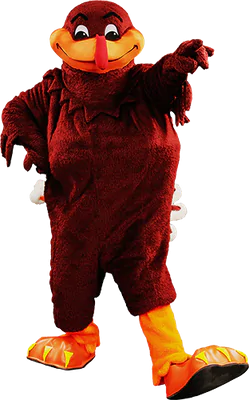 The History Behind 15 ACC Mascots | News | 2aDays News