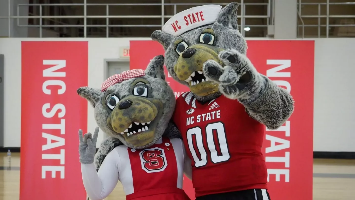 The History Behind 15 ACC Mascots | News | 2aDays News